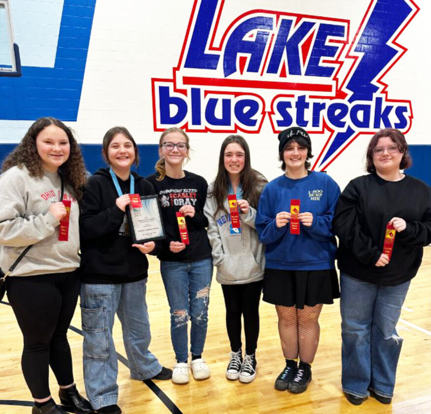 LaBrae team takes second place in state tournament | News, Sports, Jobs ...